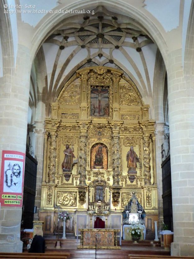 Historia Belorado. Camino de Santiago Burgos.Turismo Burgos